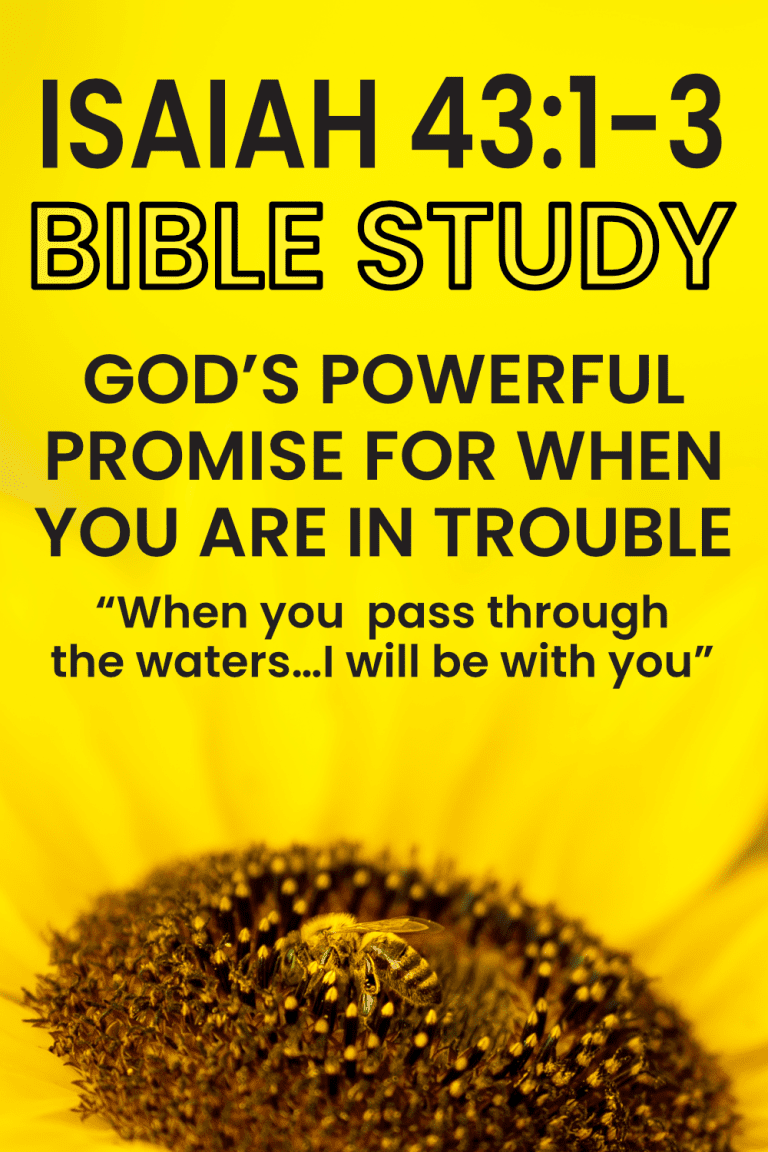 Isaiah 43:2 meaning of When you pass through the waters I will be with ...